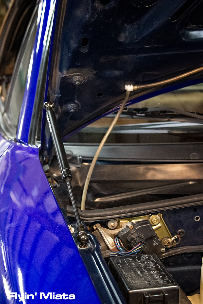 Looks great and offers more access. Dual struts for a nice even lift ...