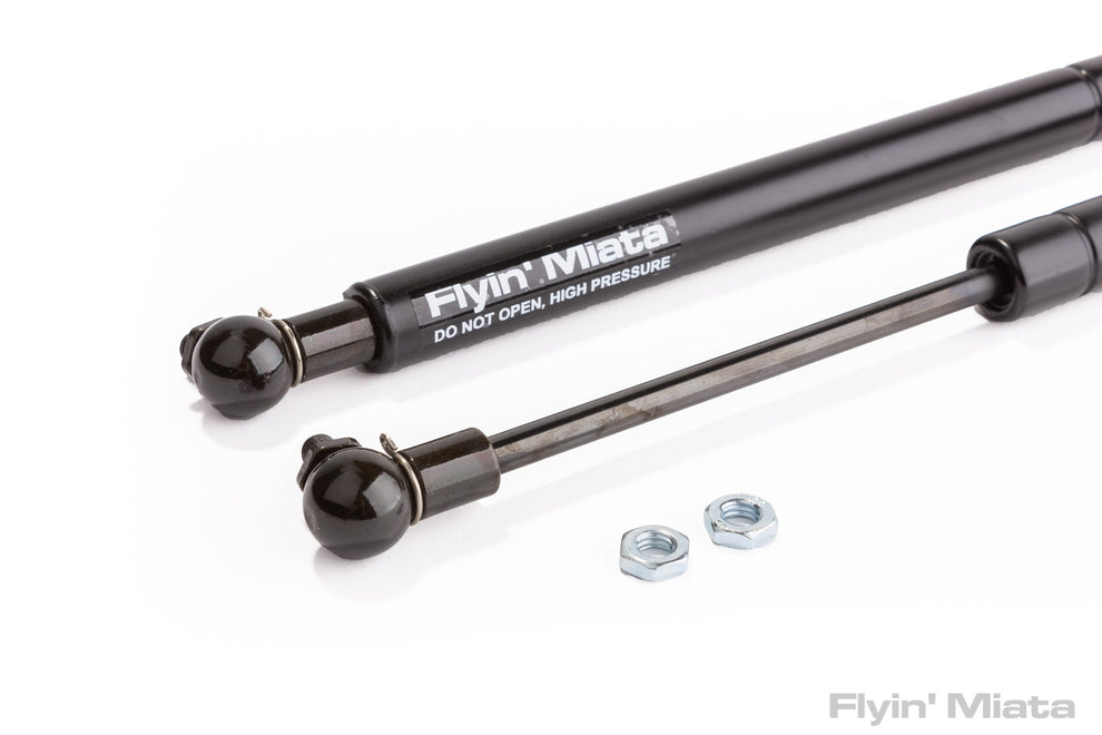 Looks great and offers more access. Dual struts for a nice even lift ...